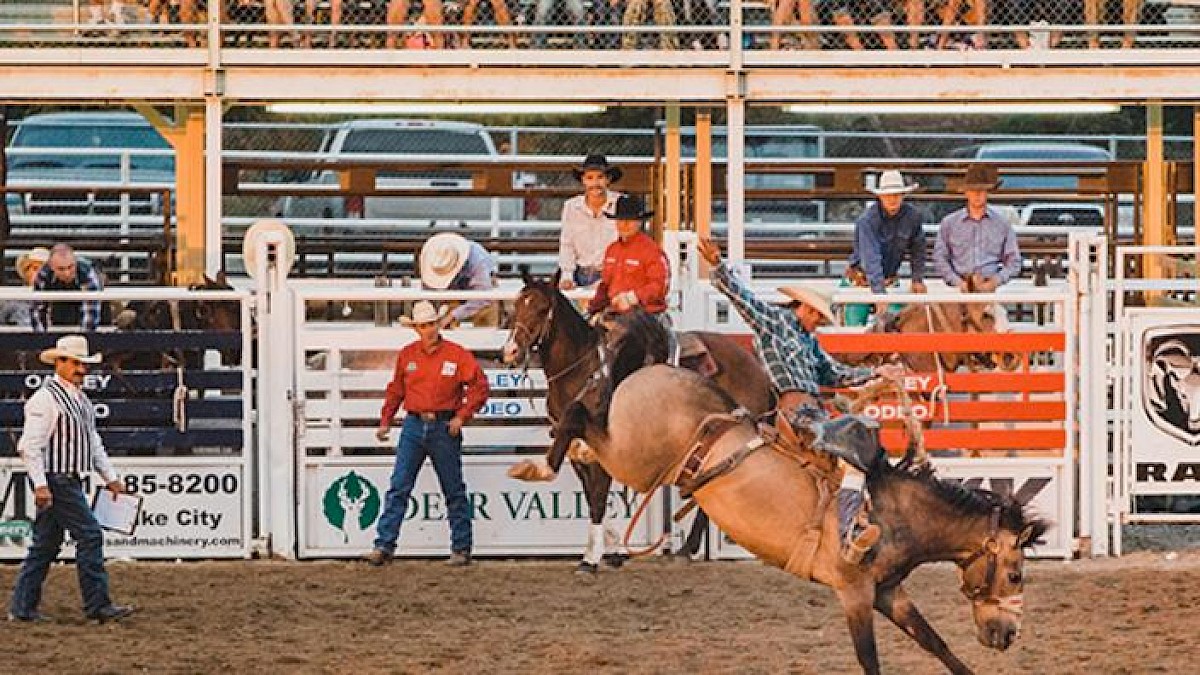 Oakley Rodeo